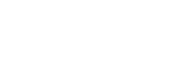 Hevolus srl | AI Agent